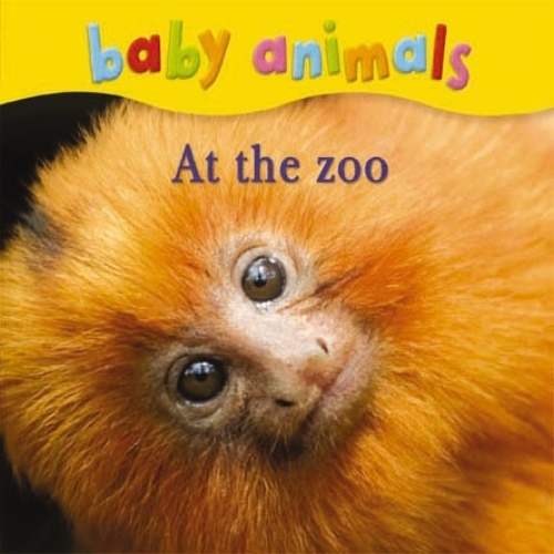Baby Animals: At the Zoo - Kingfisher Books