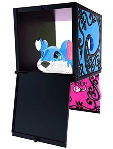 Buy Amazing Zhus - Magic Disappearing Box