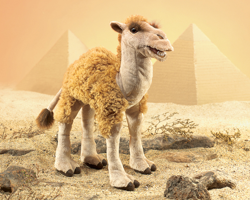 Buy Folkmanis - Camel Puppet