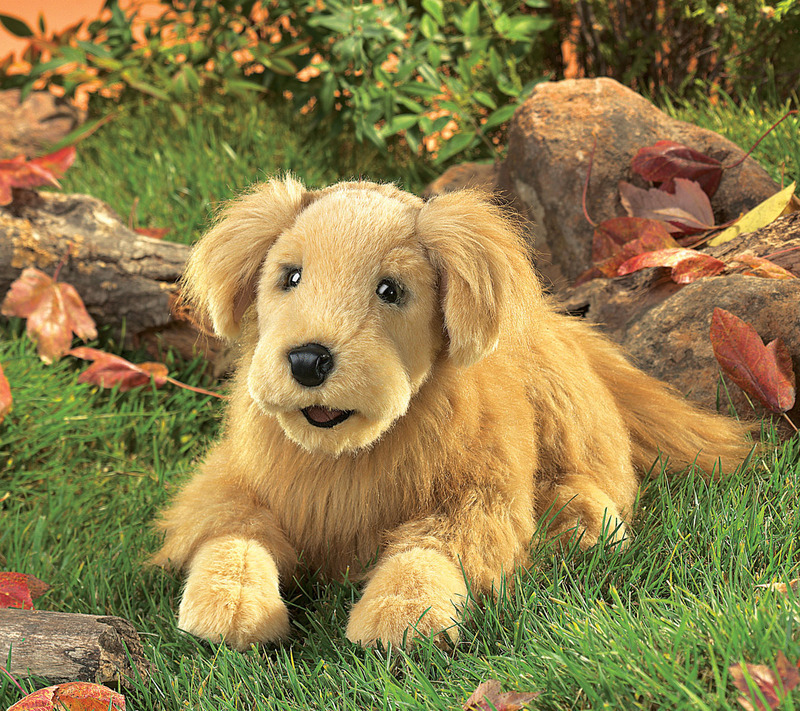 Buy - Folkmanis - Golden Retriever Puppet
