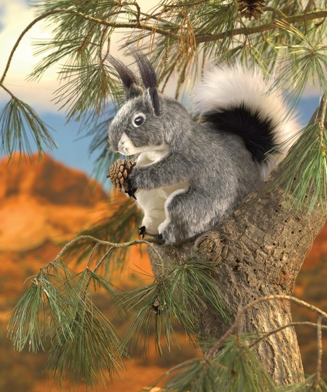 Buy Folkmanis - Abert's Squirrel Puppet