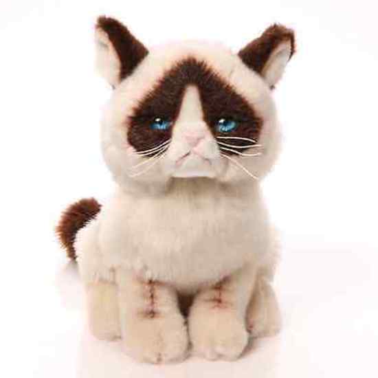 Buy Gund - Grumpy Cat Plush 23cm