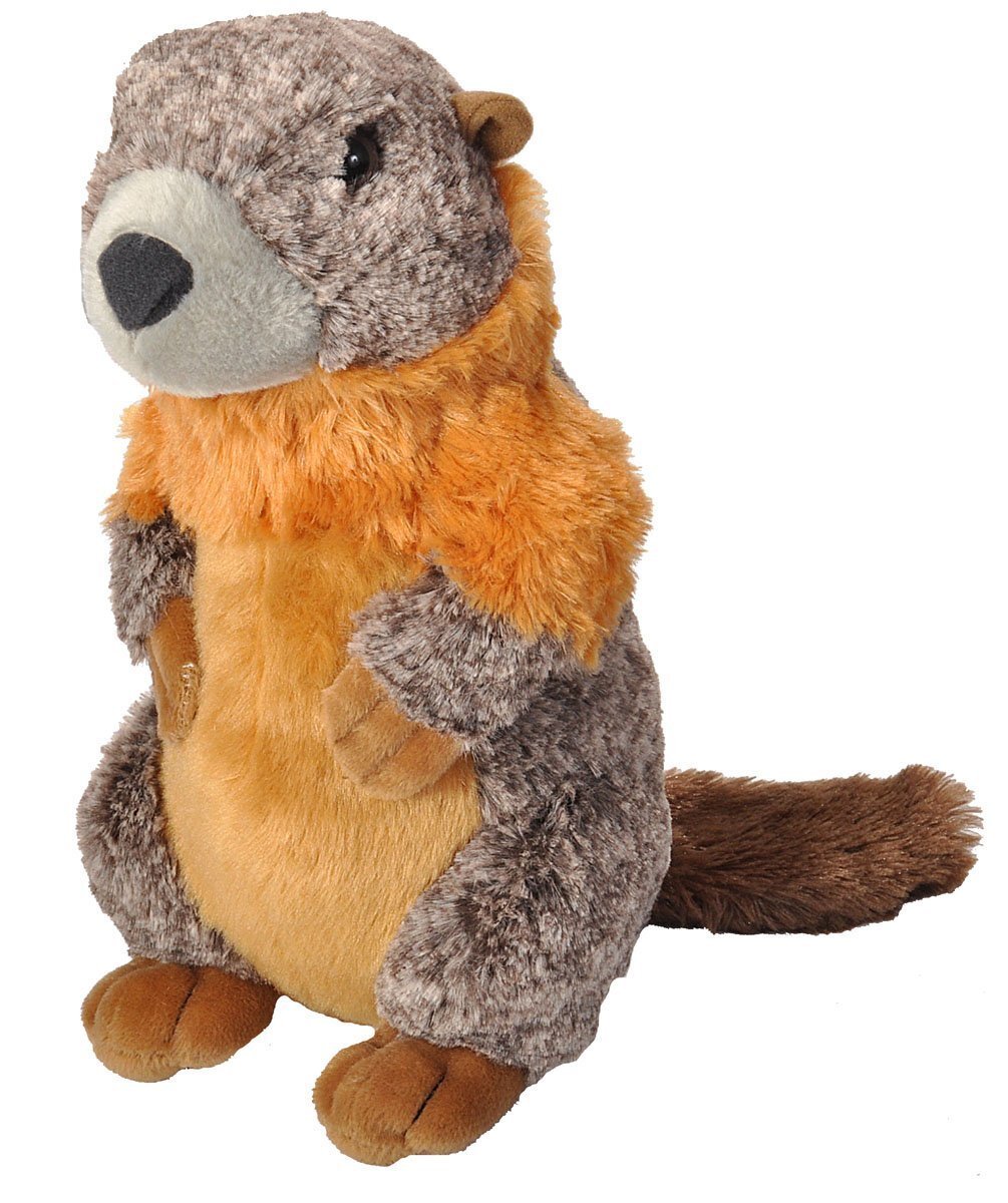 Buy Wild Republic Cuddlekins Yellow Bellied Marmot Plush Toy