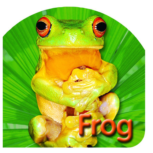Buy Steve Parish - Board Book - Frog